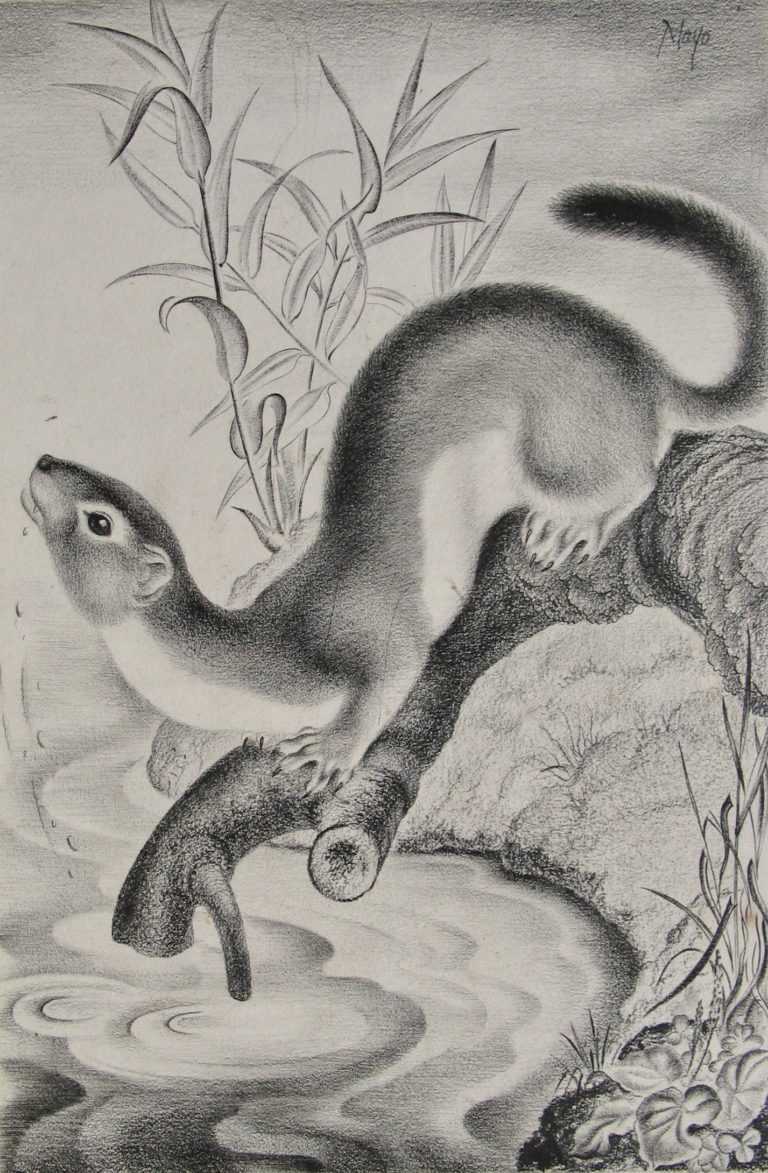 Eileen Mayo - We BUY and SELL Linocut Prints - Seen on BBC TV