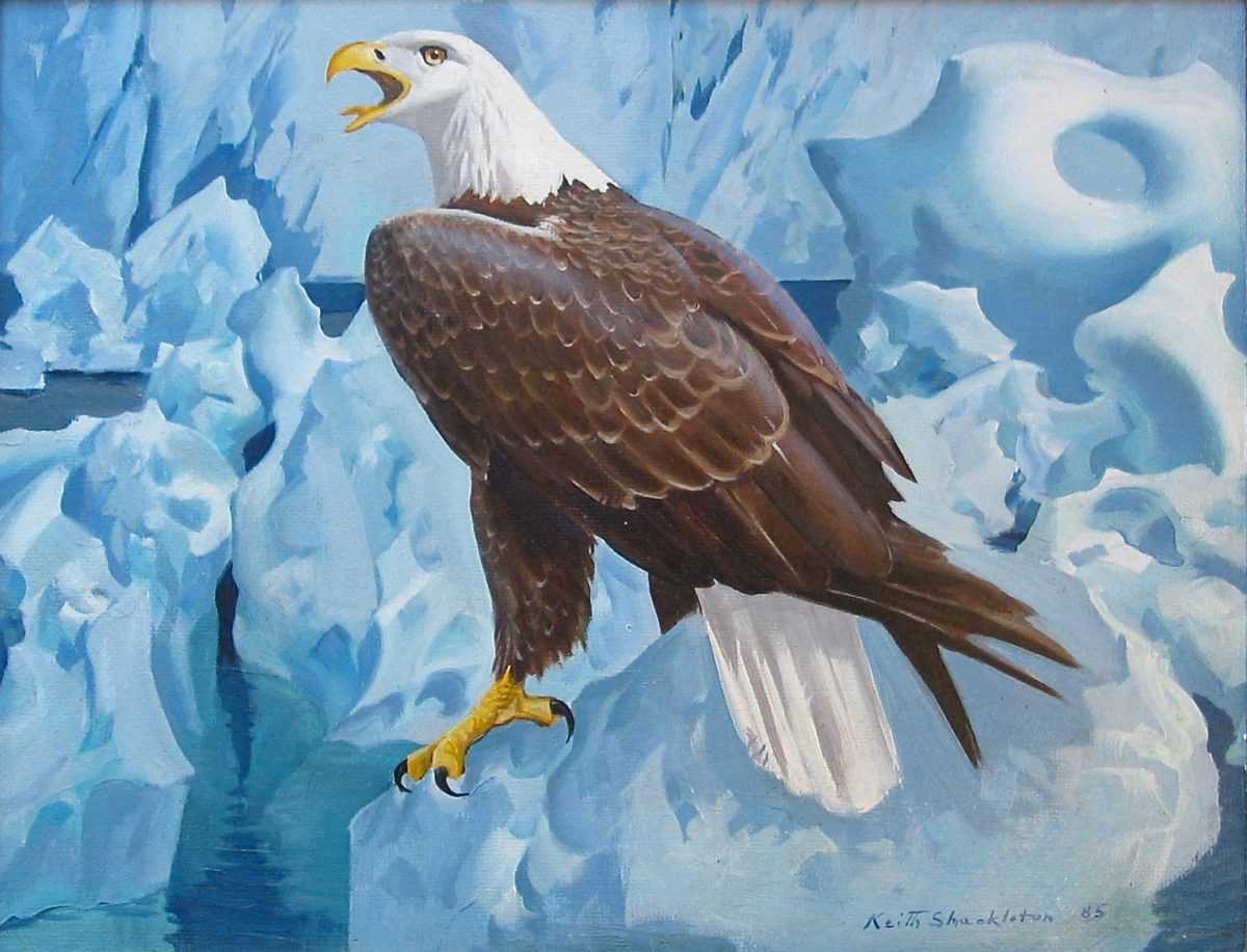 Keith Shackleton - We Buy & Sell Original Paintings - on BBC TV