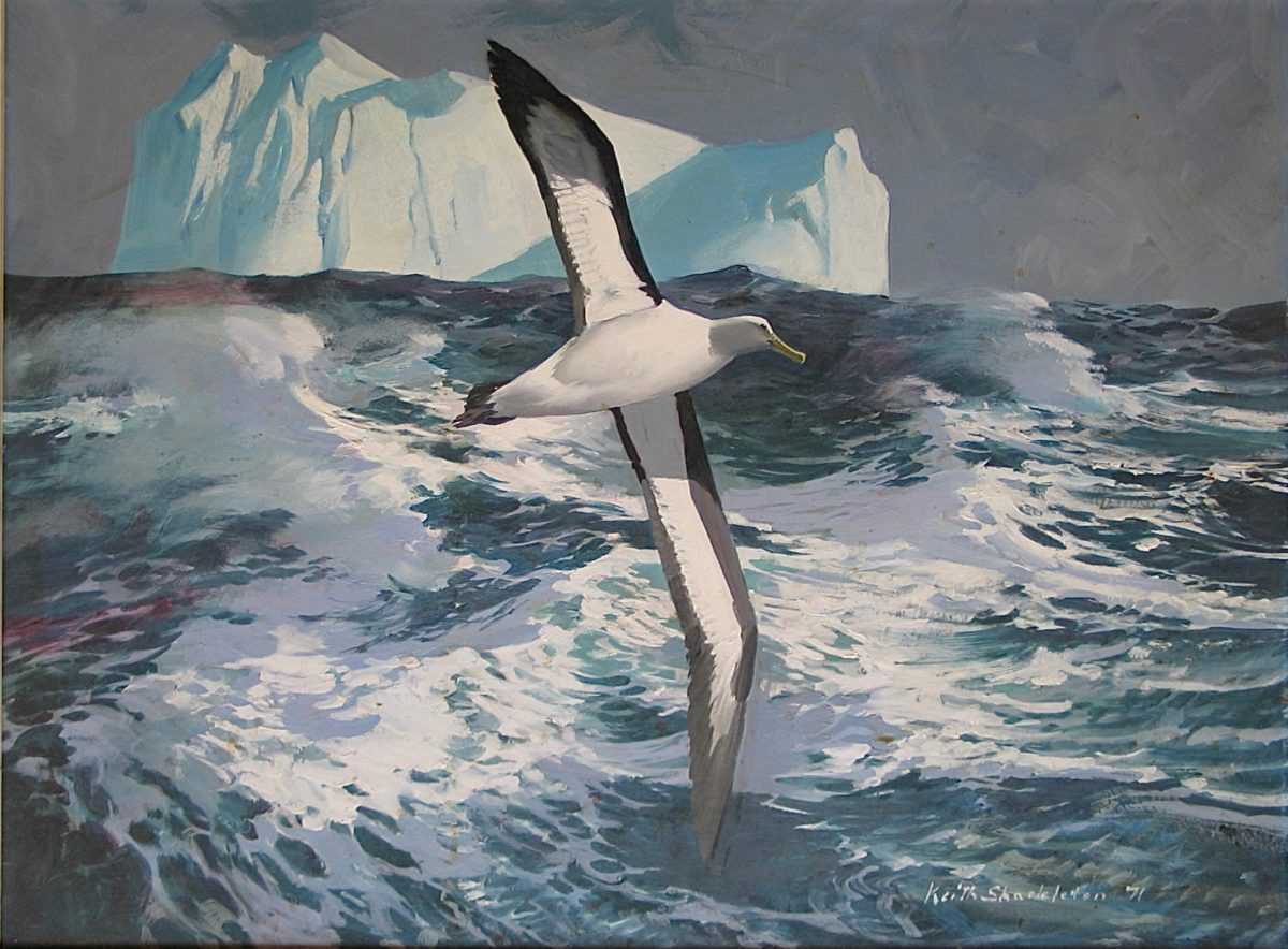 Keith Shackleton - We Buy & Sell Original Paintings - on BBC TV