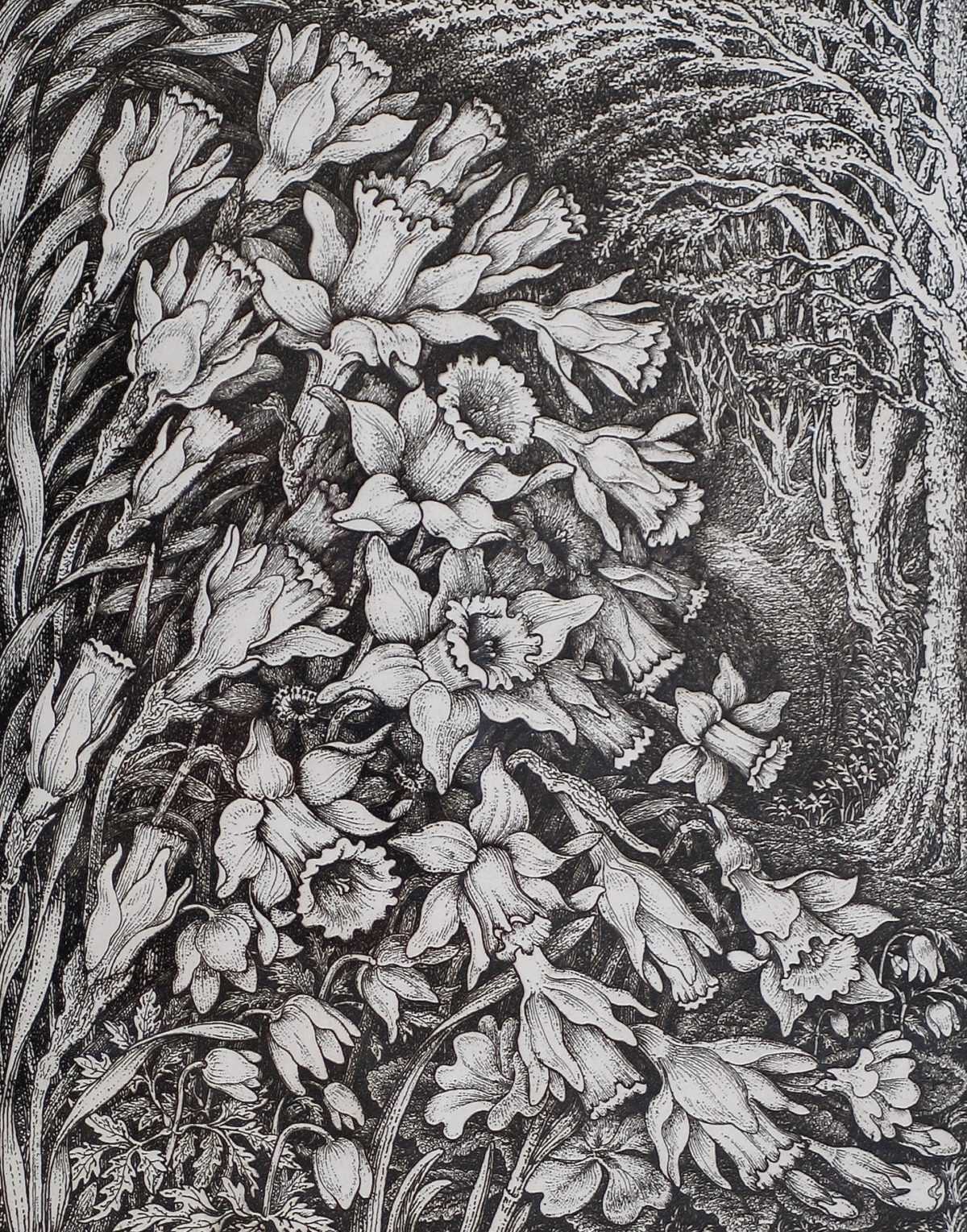 Robin Tanner - We BUY & SELL Etchings & Paintings - on BBC TV