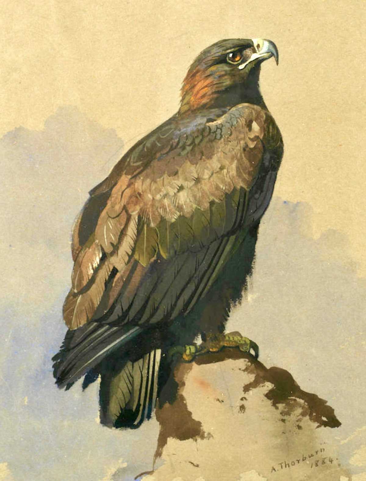 Archibald Thorburn Valuation - We Buy Artist Paintings - seen on BBC TV